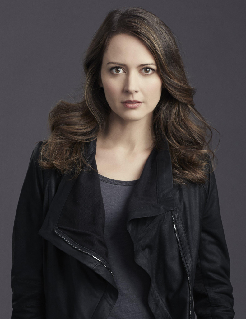 Amy Acker chats about Person Of Interest – EclipseMagazine